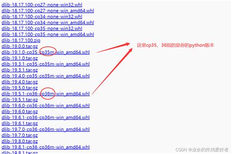 python3 8 安装dlib python3 8 dlib csdn博客