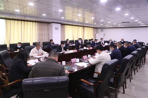 区委书记陈政召开2023年重点项目推进工作会议 湛江市人民政府门户网站