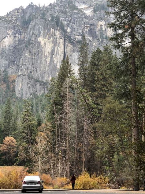 줌줌 후기 요세미티1박2일 럭셔리 별장과캠핑 바베큐 캠프파이어 불멍별멍 때리기 샌프란출발 Ja