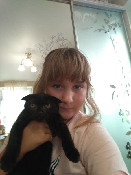 ПРОПАЛ Котёнок Вислоухая чёрная кошка 4 месяца ОСОБЫЕ ПРИМЕТЫ Елена Шевцова ВКонтакте