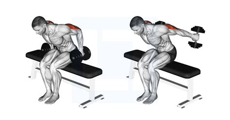 Dumbbell Seated Kickback Dumbbell Triceps Triceps Workout