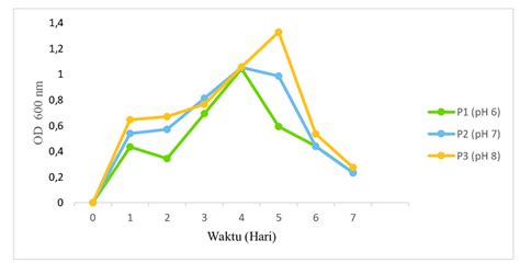 Gambar 3 Pertumbuhan Bakteri Rhodococcus Erythropolis Proses