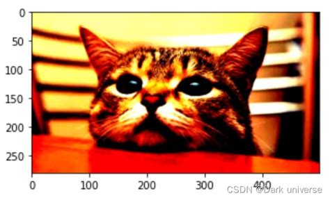 一只猫引出的数据增强[data augmentation] randombrightnesscontrast csdn博客