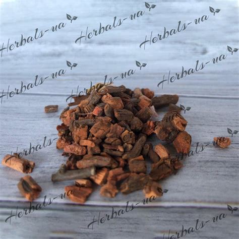 Bio cashew - Польза марены красильной алтайской Это целебное растение ...