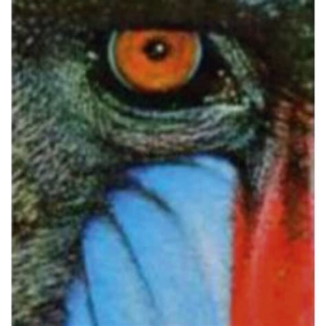 Comparison Chart Of Three Interpolation Methods A High Resolution Download Scientific