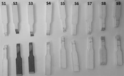 Tensile Tested Specimens Download Scientific Diagram