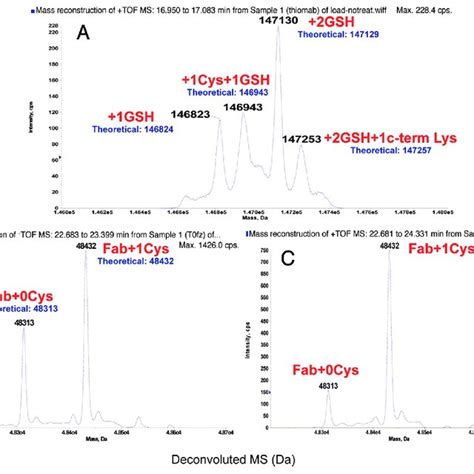 Deconvoluted Mass Spectra Of The Thiomab Treated With Papain And 5 Mm