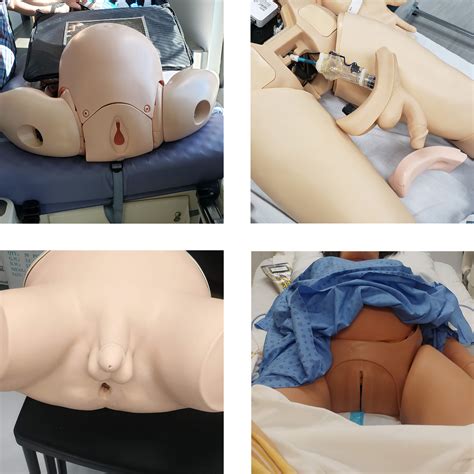 About Gynecological Model SEX ED