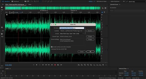 How To Edit Your Podcast In Adobe Audition A Complete Guide