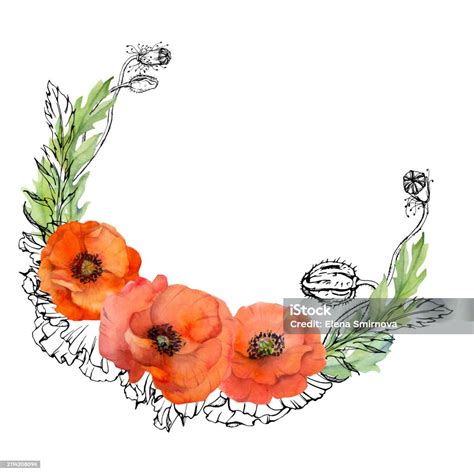 손으로 그린 수채화 식물 그림 꽃 잎 빨간 양귀비 Papaver 줄기 새싹 Seedpods 흰색 배경에 고립된 화환 프레임입니다 디자인 결혼식 사랑 카드 기념일 문구
