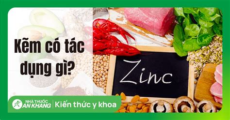 Tất Tần Tật Uống Kẽm Có Tác Dụng Gì để Bổ Sung Dinh Dưỡng Và Tăng Sức
