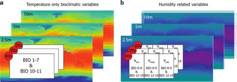 Structure Of The Merraclim Dataset A The Temperature Only Download Scientific Diagram