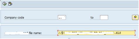 sap fico central debugging for functional consultants