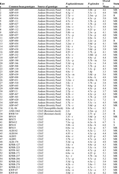 General Mean Score Response Of Common Bean Germplasm To P