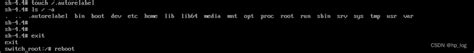 centos 8 进入紧急救援模式 centos8进入紧急模式 csdn博客