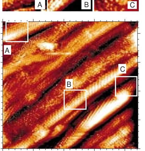 Large Scale Scan Of A Bundle With Tubes Of Various Diameters And Download Scientific Diagram
