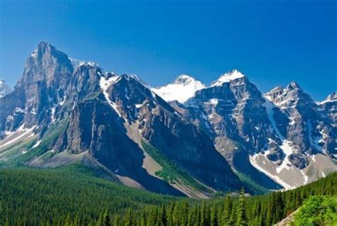 Chapter Landforms And Life Notes Summary Textbooksolutions