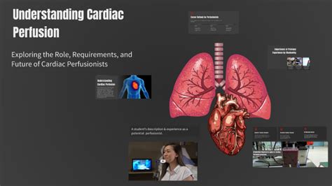 Understanding Cardiac Perfusion By J Brown On Prezi