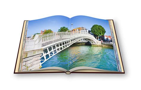 절반 페니 브리지 수신자 인 통로3d에 대 한 청구 라고 더블린에서 가장 유명한 다리 렌더링 흰색 배경에 고립 된 열린된 사진 책나는이 3d 렌더링에 사용 된 이미지의