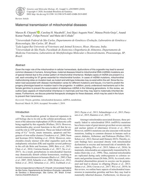 Pdf Maternal Transmission Of Mitochondrial Diseases