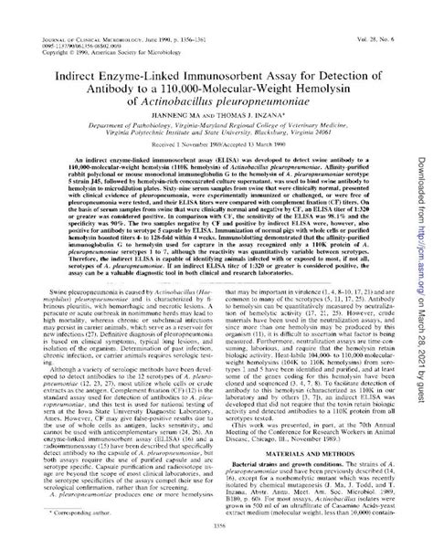 Pdf Indirect Enzyme Linked Immunosorbent Detection Antibody To