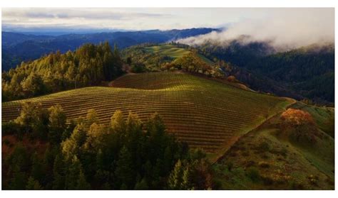 Macos 14 Sonoma Beta Compatibility Release Date And Features