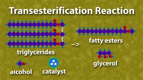 Chemistry Of Biodiesel Youtube