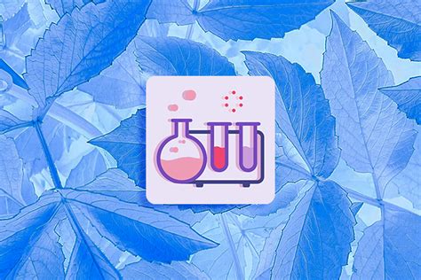 Recognition Vs Recall Leveraging Cognitive Processes In User