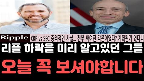 리플전망 리플 Xrp 애초에 하락을 미리 알고있었다 의도적인 계획과정 폭로됐다 오늘 영상은 꼭 보셔야합니다 리플전망