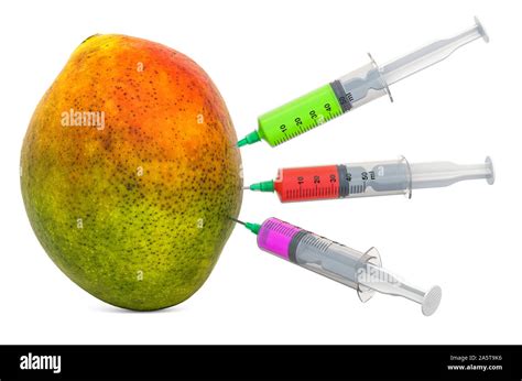 Mango With A Syringes Full Of Chemicals Genetic Food Modification