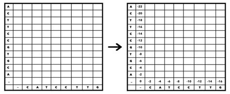 Global Sequence Alignment Matrix Initialization And Gap Scoring