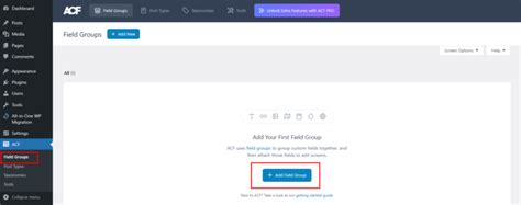 How To Create Custom Fields In WordPress