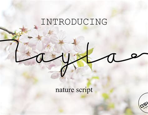 Layla Script Dezign Ark