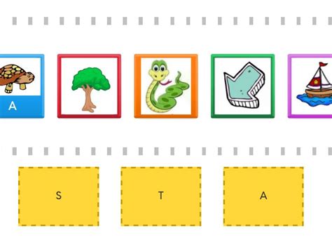 Sat Picture Sort Speed Sorting