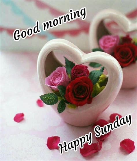 Good Morning Sunday Wallpapers Wallpaper Cave