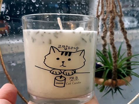 유기농 캣닢 캔들로 길냥이들과 따뜻한 겨울나기 텀블벅 크리에이터를 위한 크라우드펀딩