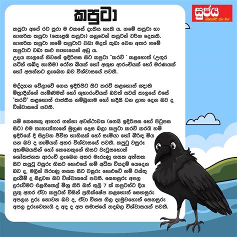කුරුල්ලන්ට අනාවැකි Sujaya Newspaper සුජය ළමා පුවත්පත