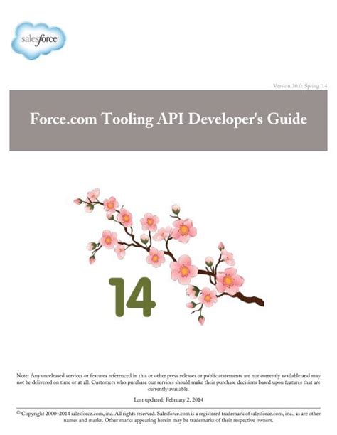 Tooling Api Developers Guide