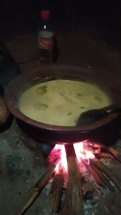 ඇබරැල්ලා 🌿🍂 Youtube