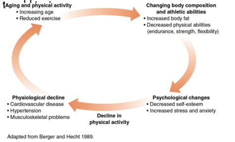 Motor Learning And Development Exam 3 Chapter 10 Flashcards Quizlet