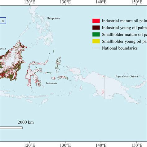 Spatial Distribution Map Of Oil Palm Subclasses In Africa Download Scientific Diagram
