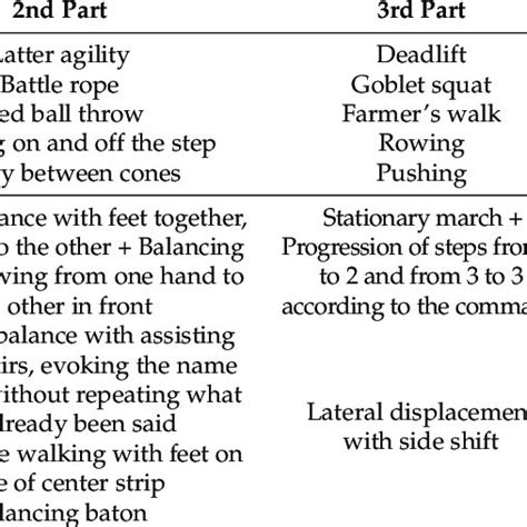 Functional Training And Dual Task Training Program Description