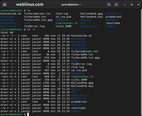 Exa La Alternativa Perfecta Al Comando Ls Weblinus