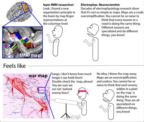 The Relationship Of Layer Fmri With Other Fields A Graphical Story In Cynical Metaphors Layer