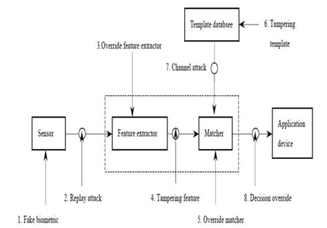 Sites Of Biometric Vulnerabilities 2 Download Scientific Diagram