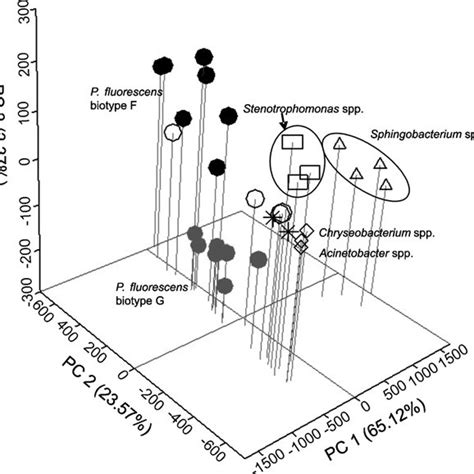 Principal Component Analysis Of Biolog Substrate Utilization Patterns Download Scientific