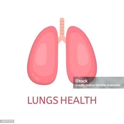 평면 스타일 흰색 배경에 고립의 폐 폐 건강 개념입니다 인간의 폐 아이콘입니다 내부 오르간입니다 호흡기 시스템입니다 건강 관리입니다 벡터 일러스트 레이 션 이식수술에 대한