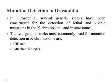 Mutation And Its Detection Pptx