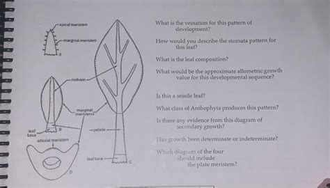 Solved What Is The Veination For This Pattern Of