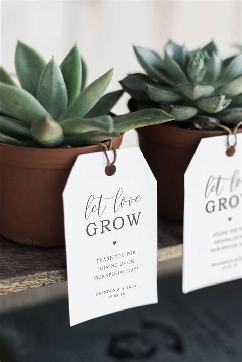 Succulent Wedding Favors Let Love Grow Best Succulent Ideas